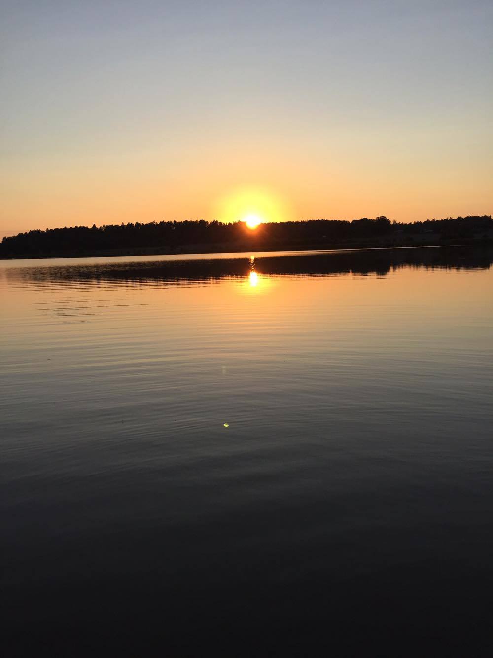 Bland viktskivor och midsommarkransar : MAXstyrka